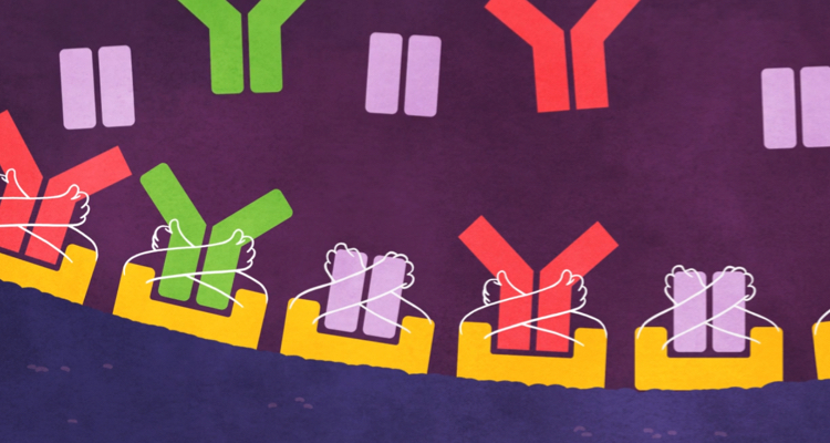 How VYVGART works | VYVGART